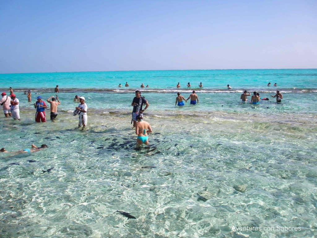 Cayo Acuario - Aventuras con Sabores